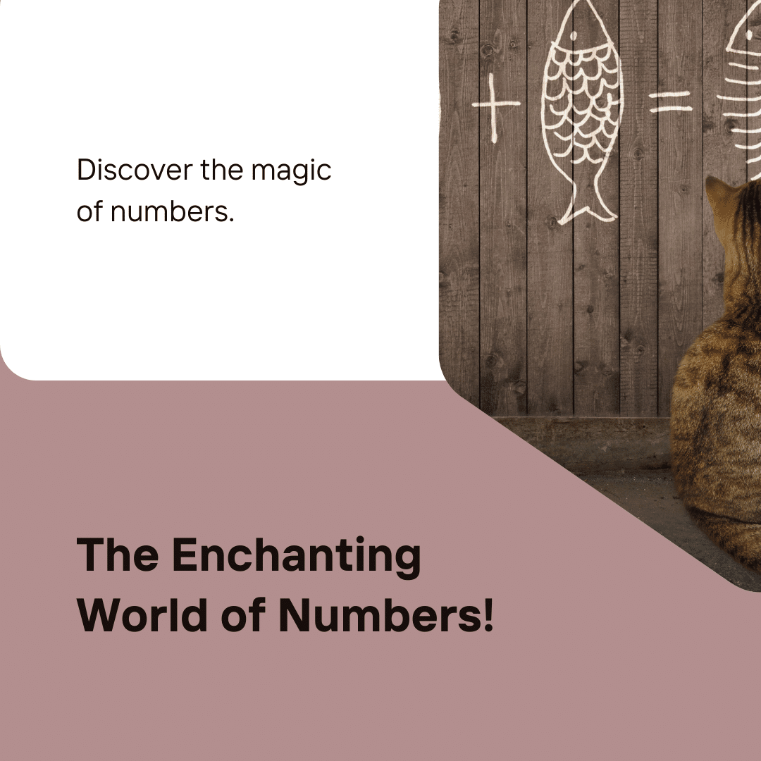 The Enchanting World of Numbers